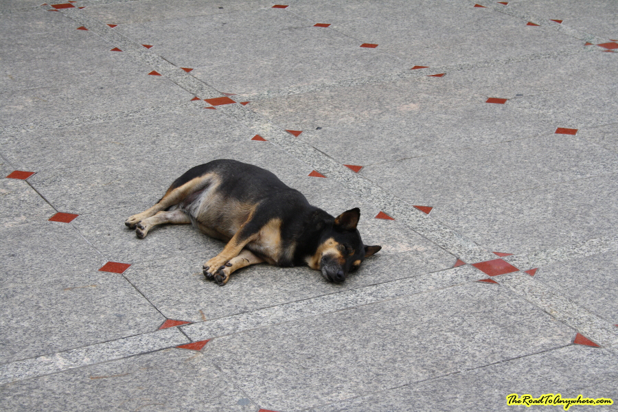Temples of Thailand: Wat Indraviharn, Bangkok | The Road to Anywhere