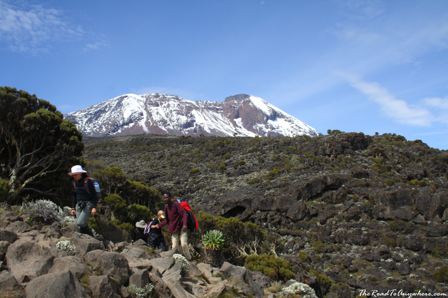 Climbing Mount Kilimanjaro | Day 2: Trekking to Shira Plateau