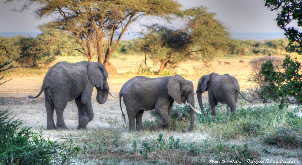 Lake Manyara National Park